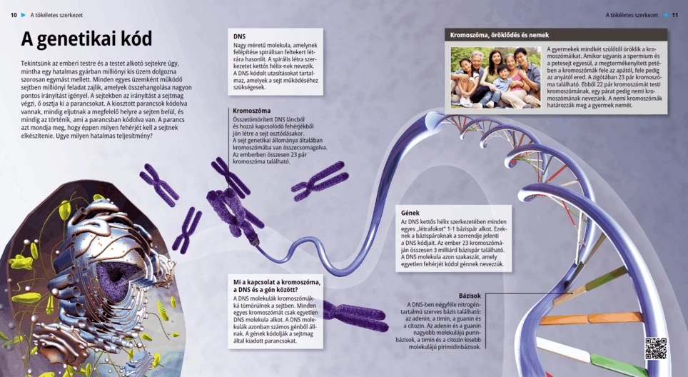 The Genetic Code - Digital lessons - US Mozaik Digital Education and Learning