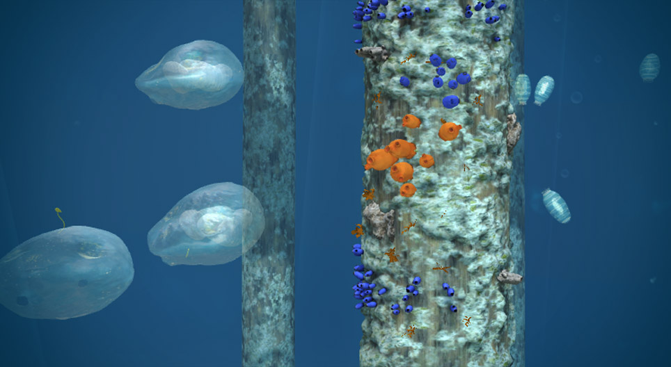 Tunicates - 3D scene - US Mozaik Digital Education and Learning