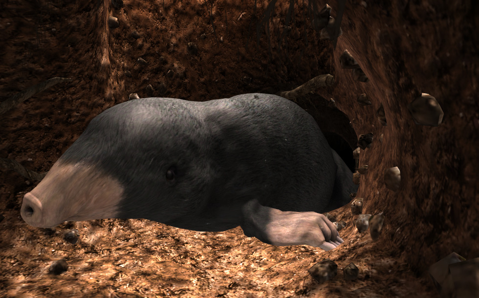 European mole - 3D scene - US Mozaik Digital Education and Learning