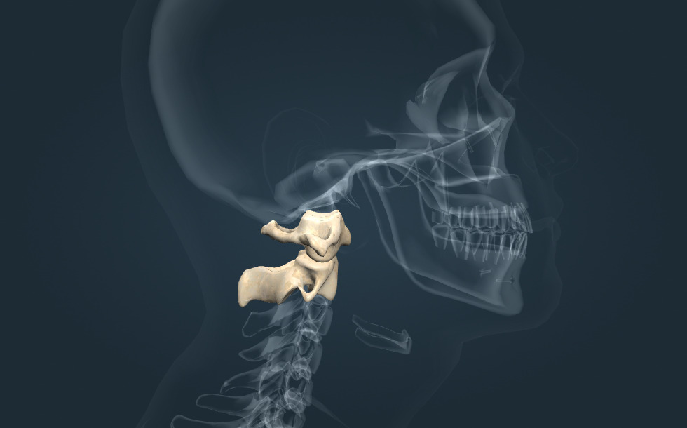 Movements of the head - 3D scene - US Mozaik Digital Education and Learning