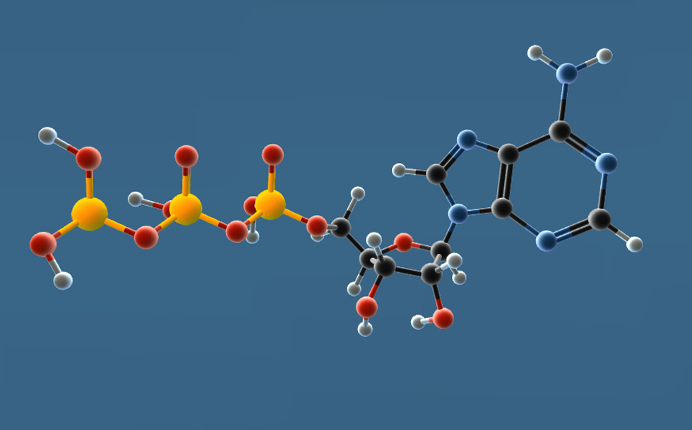 ADP, ATP - 3D scene - US Mozaik Digital Education and Learning