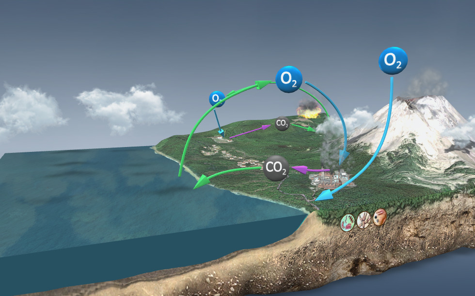 Oxygen cycle - 3D scene - US Mozaik Digital Education and Learning