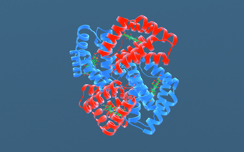 Haemoglobin - 3D scene - US Mozaik Digital Education and Learning