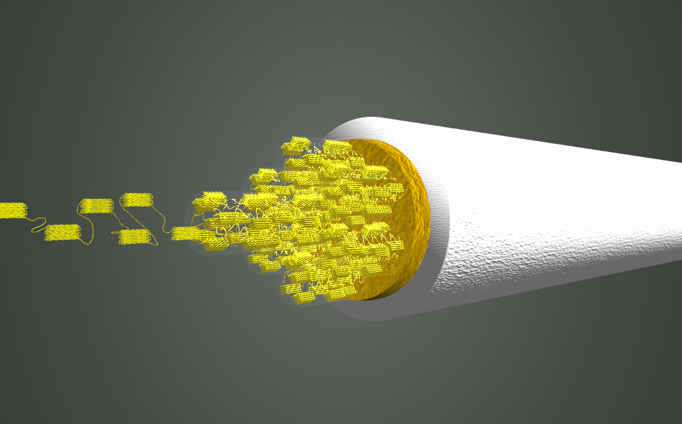 Spider silk, spider web - 3D scene - US Mozaik Digital Education and ...