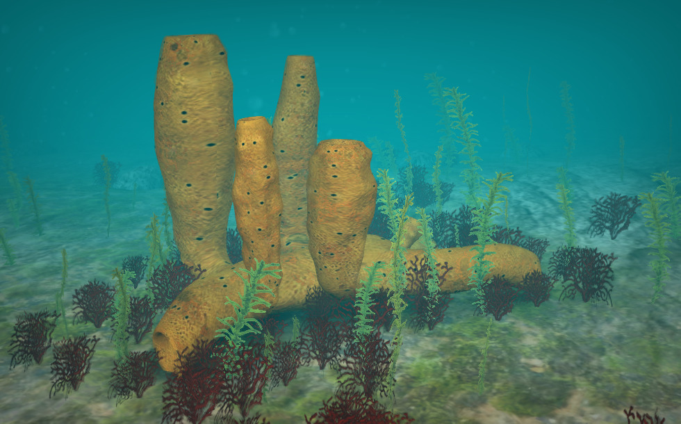 Sponges - 3D scene - US Mozaik Digital Education and Learning
