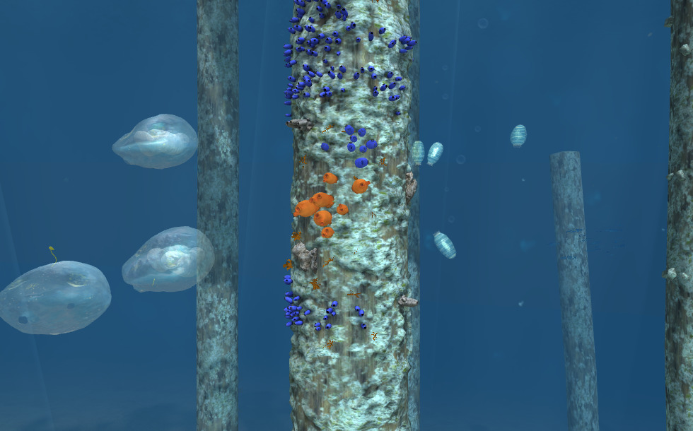 Tunicates - 3D scene - US Mozaik Digital Education and Learning