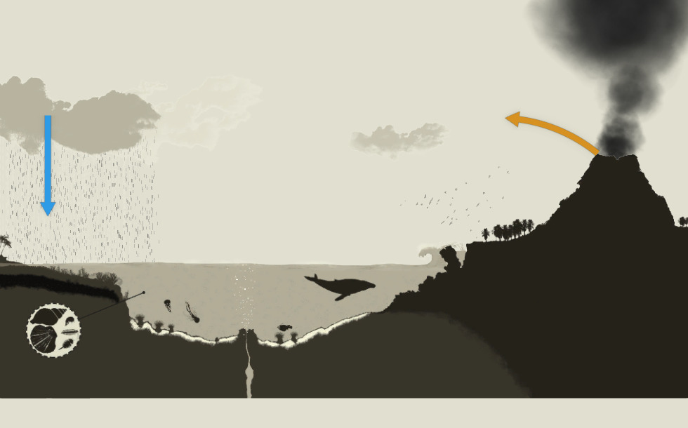 Carbon cycle - 3D scene - US Mozaik Digital Education and Learning