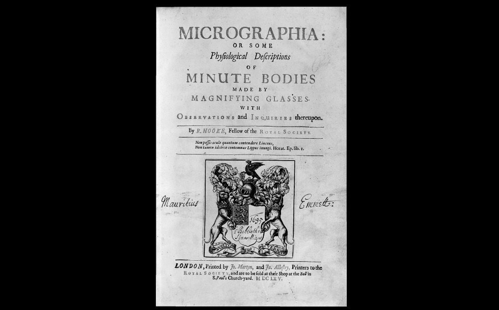 The invention of the microscope: Hooke and Leeuwenhoek - 3D scene - US ...