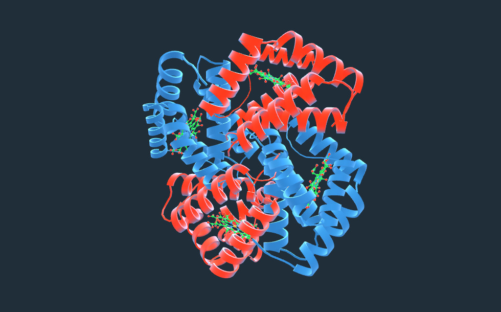 Haemoglobin - escena en 3D - US Educación digital y aprendizaje Mozaik