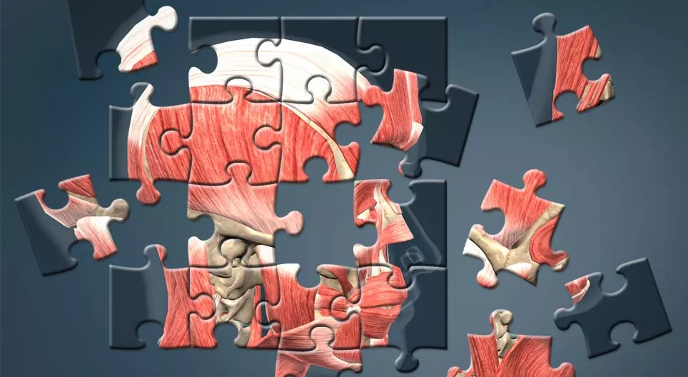 How to build a human? - Digital lessons - US Mozaik Digital Education ...